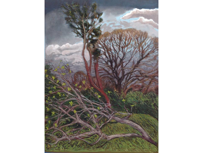 news - Taylor Galleries